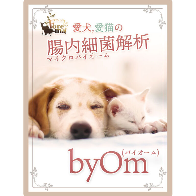 byOm | 株式会社Forema